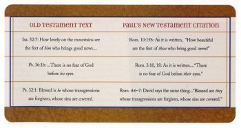 The Inclusive Language Debate: How Should the Bible be Translated Today ...