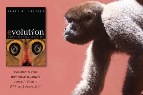 Borderline Heretic: James Shapiro and His Twenty-First Century View of ...