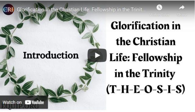 Glorification in the Christian Life: Fellowship in the Trinity (T-H-E-O ...