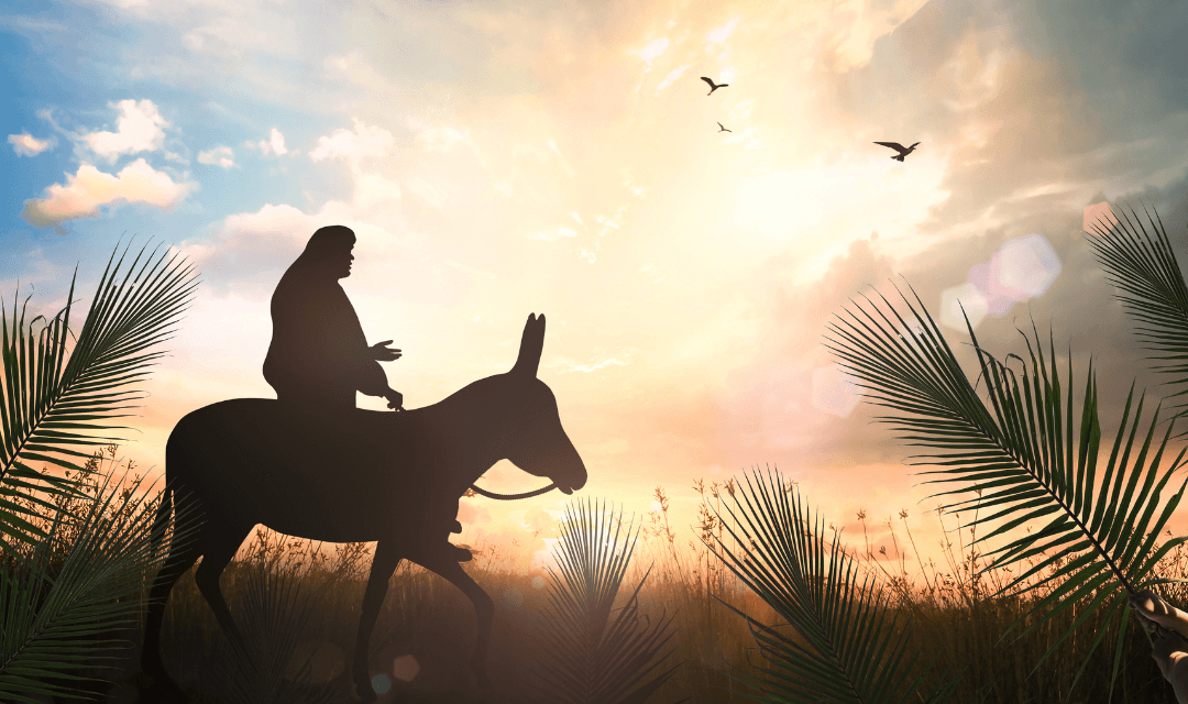 How Many Asses Did Jesus Ride into Jerusalem? - Christian Research ...